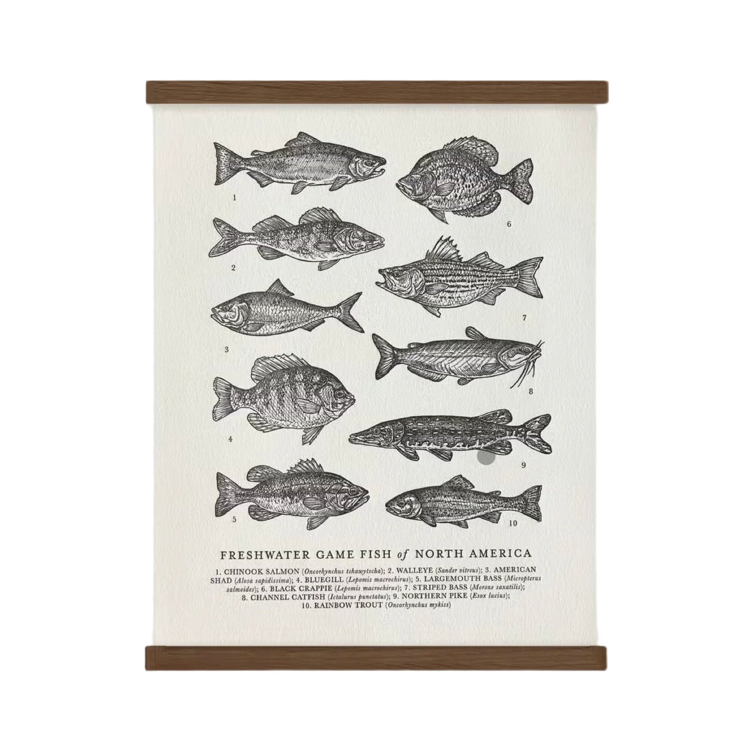 The Wild Wander Print - Freshwater Fish Guide - Gyotaku